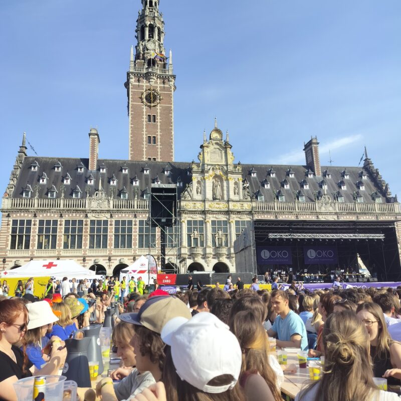 Het Vtt of perfectum in het Nederlands - Zin in Nederlands